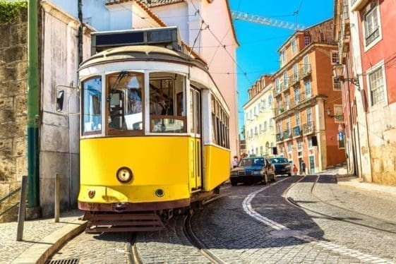17 Different Types of Trains