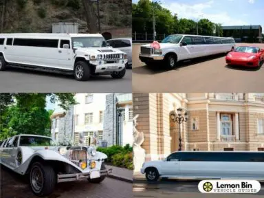 11 Types Of Limos Explained (With Photos) - Lemon Bin Vehicle Guides