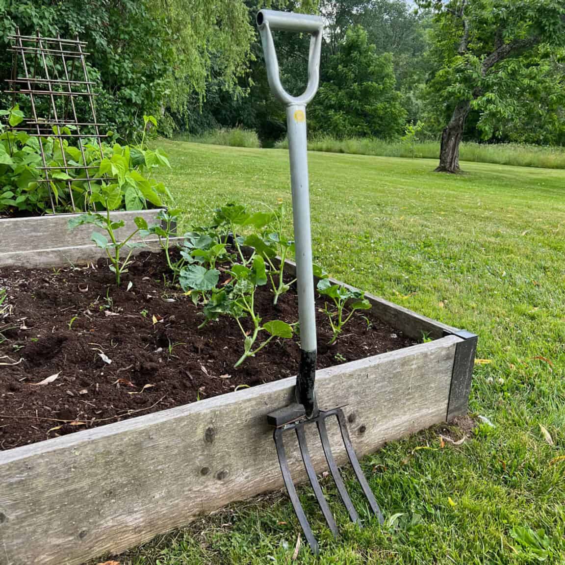 Types of Digging Tools and Their Uses - Lemon Bin Vehicle Guides
