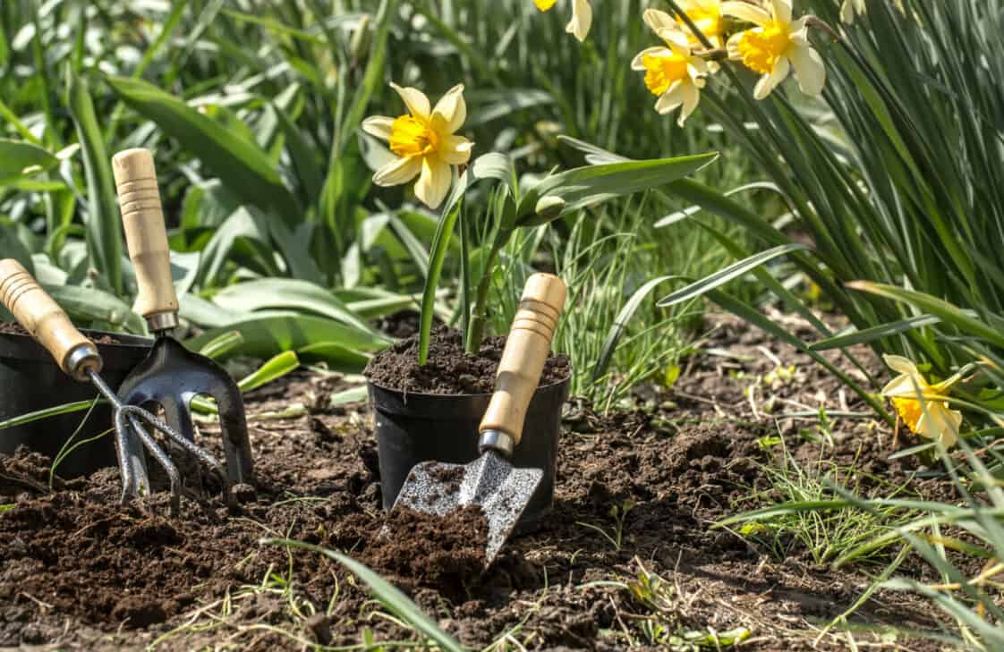 Types of Digging Tools and Their Uses - Lemon Bin Vehicle Guides