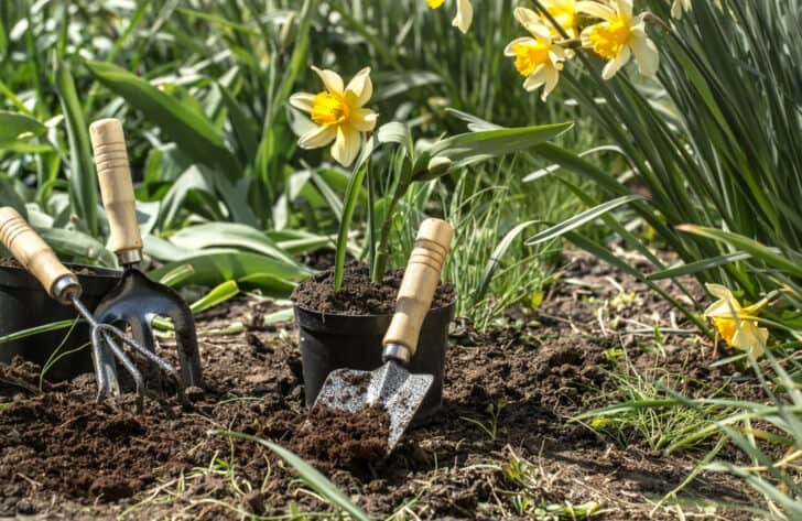 Types of Digging Tools and Their Uses - Lemon Bin Vehicle Guides
