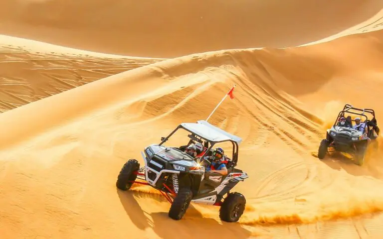 Types of Dune Buggies - Lemon Bin Vehicle Guides